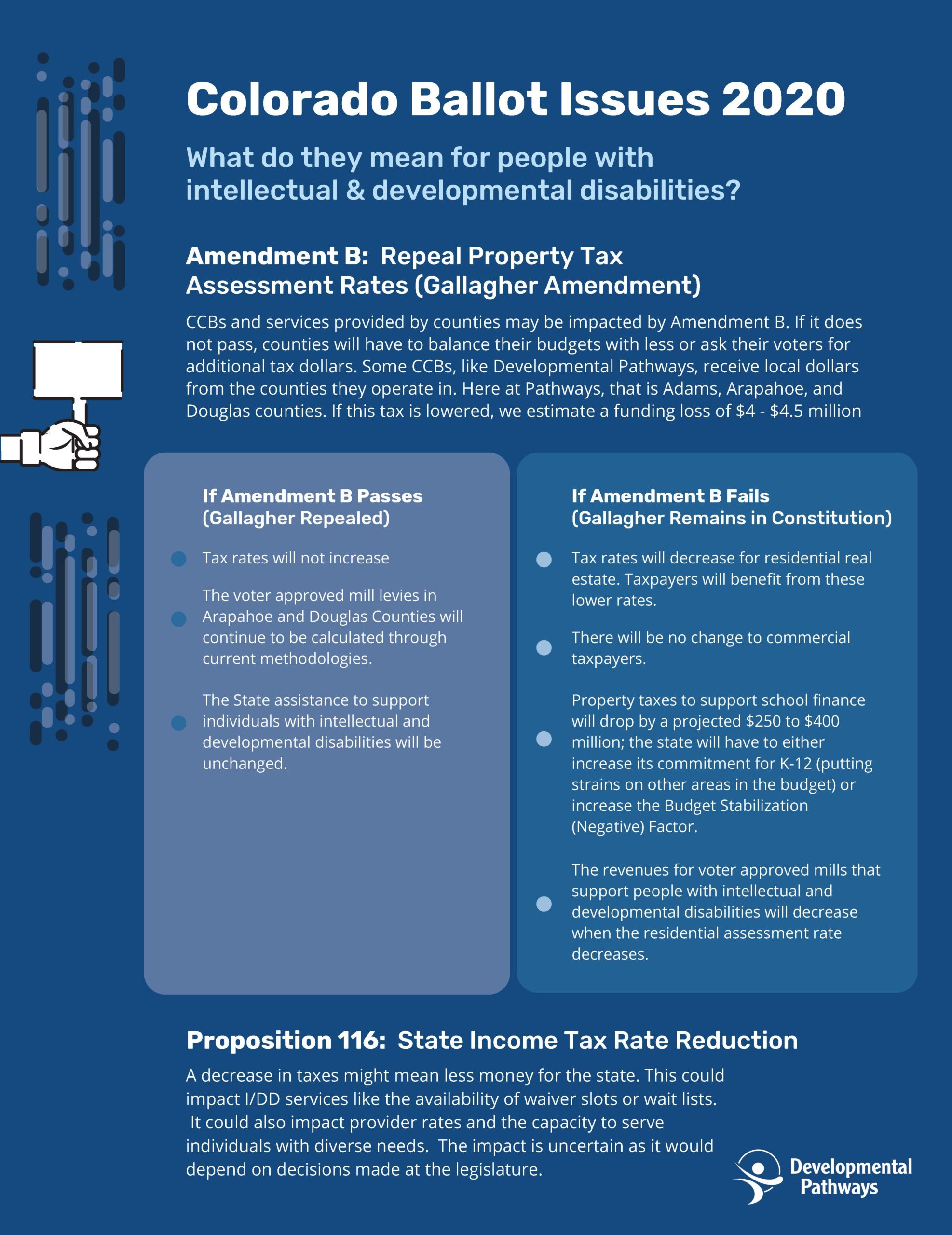 Ballot Guide: what to know before you vote - Developmental Pathways