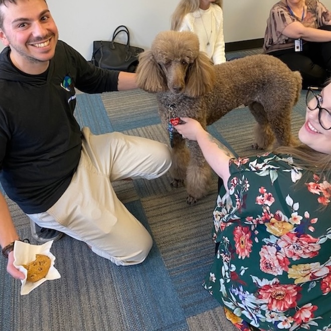 60th Anniversary - Developmental Pathways